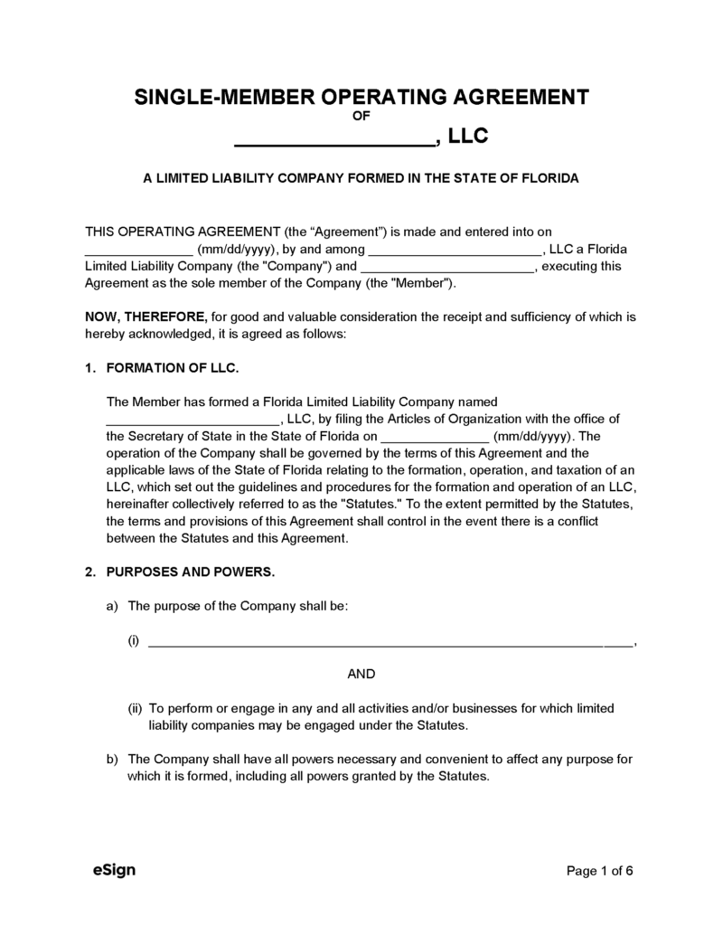 Free Florida Single-Member LLC Operating Agreement | PDF | Word
