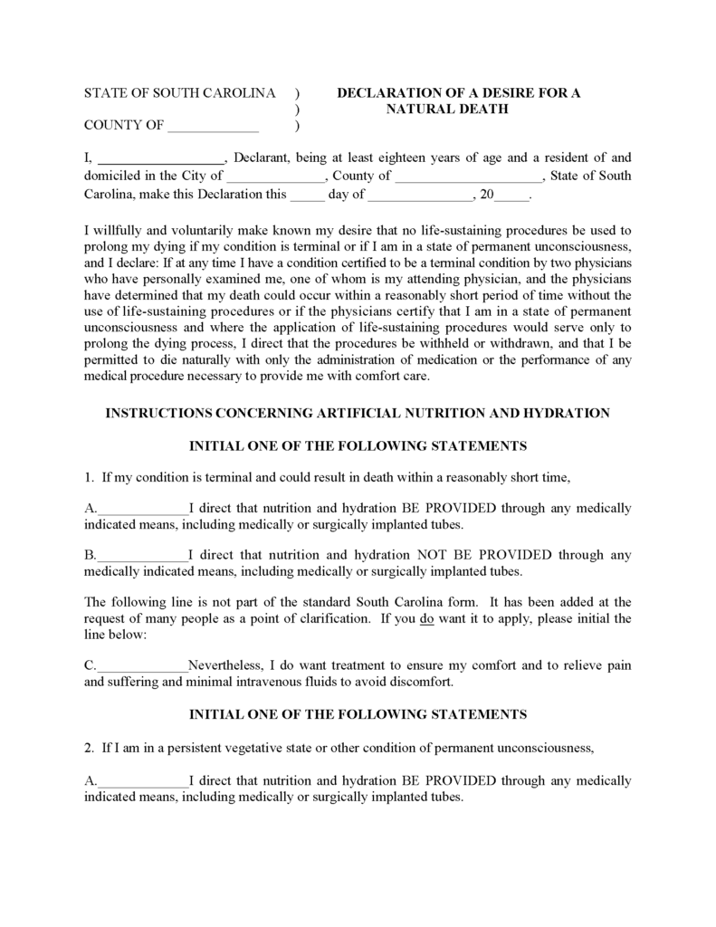 Free South Carolina Power of Attorney Forms | PDF | Word